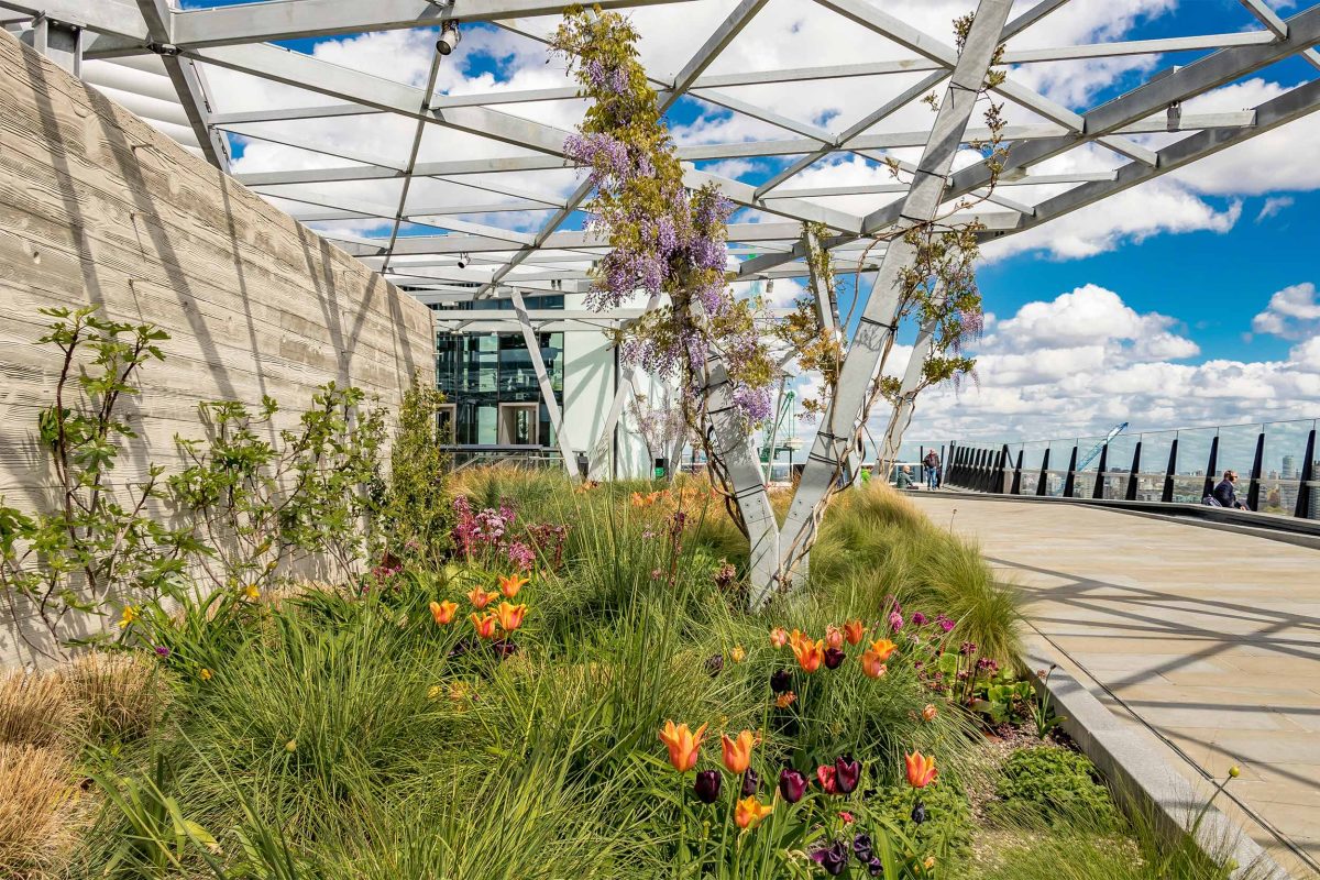 London Roof Gardens Building Contractors Designers Kensington